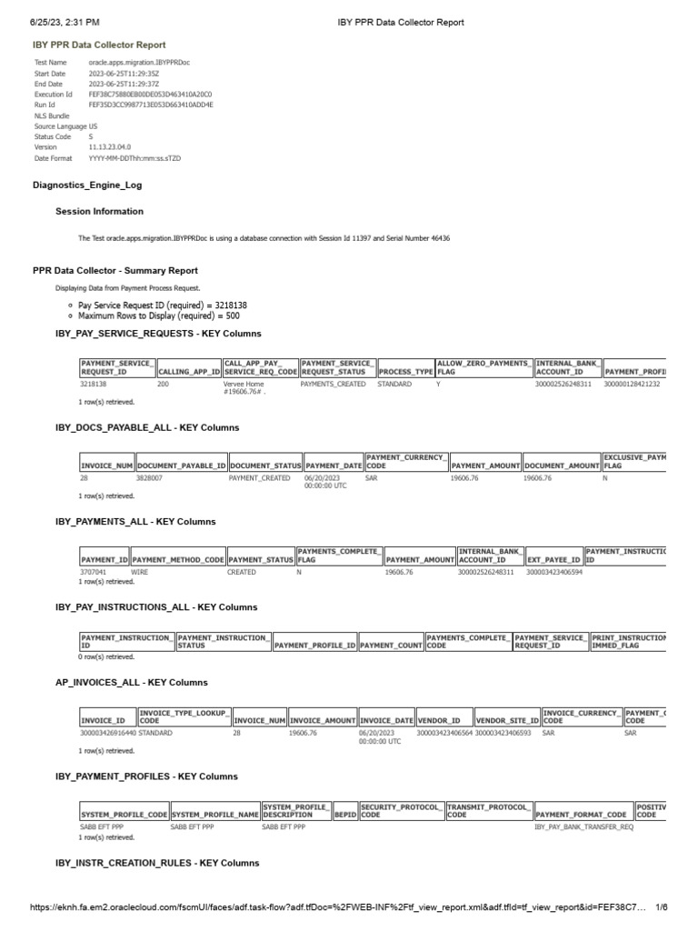 IBY PPR Data Collector Report | PDF