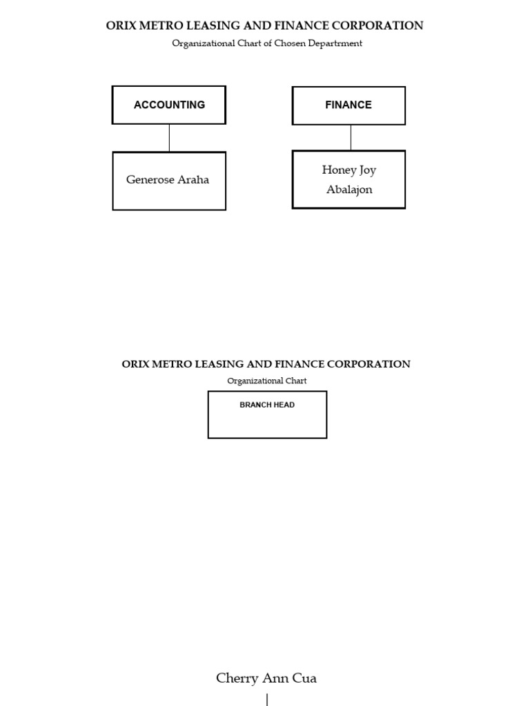 Orix Metro Leasing and Finance Corporation | PDF