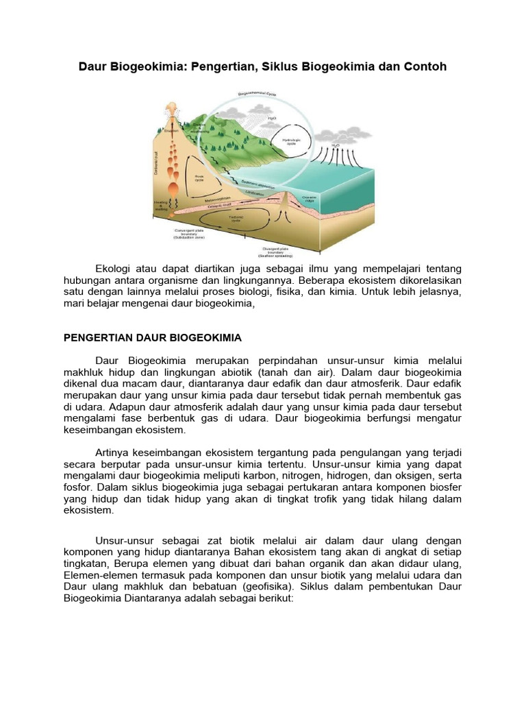 Daur Biogeokimia Pdf Sains Matematika