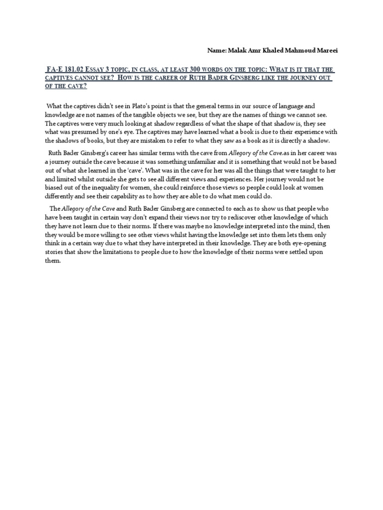 Malak Maeei FA-E 181.02 Essay 3 | PDF