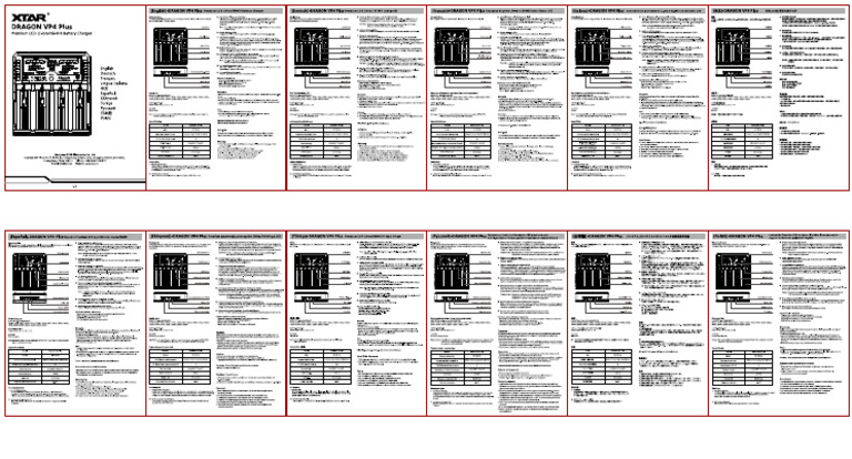 Notice Chargeur Accus | PDF