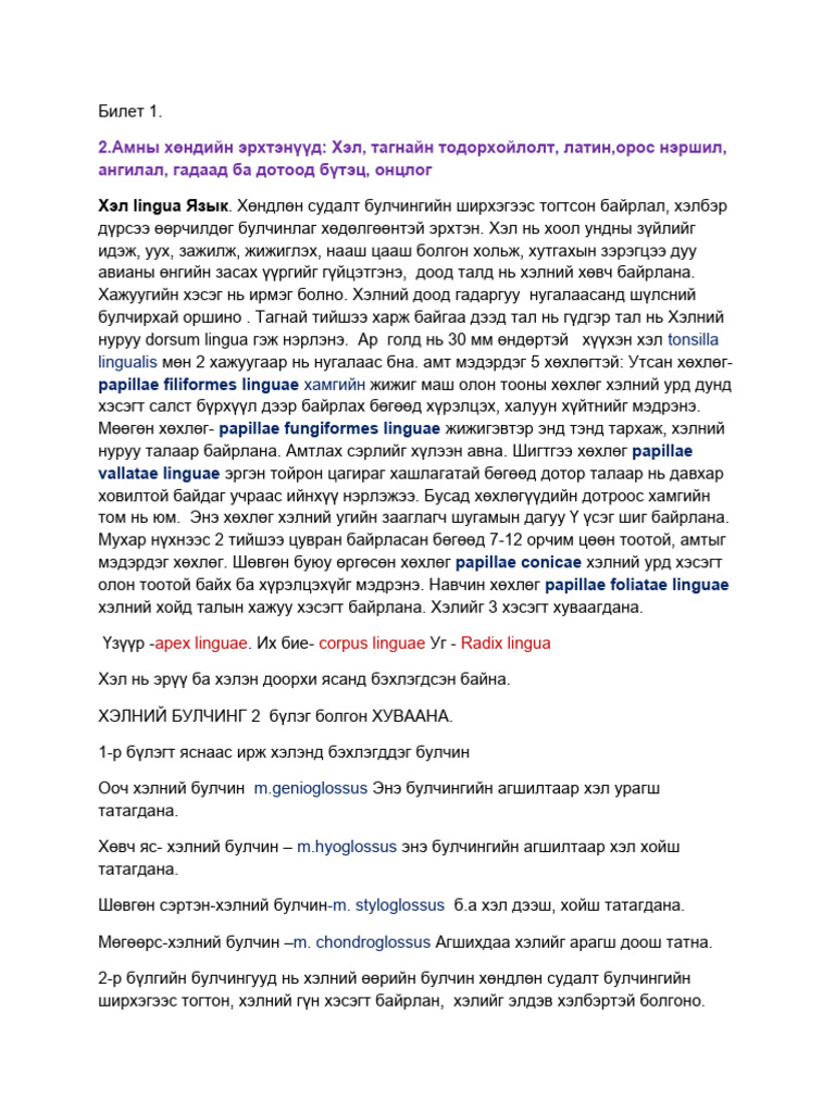 Anatomy | PDF