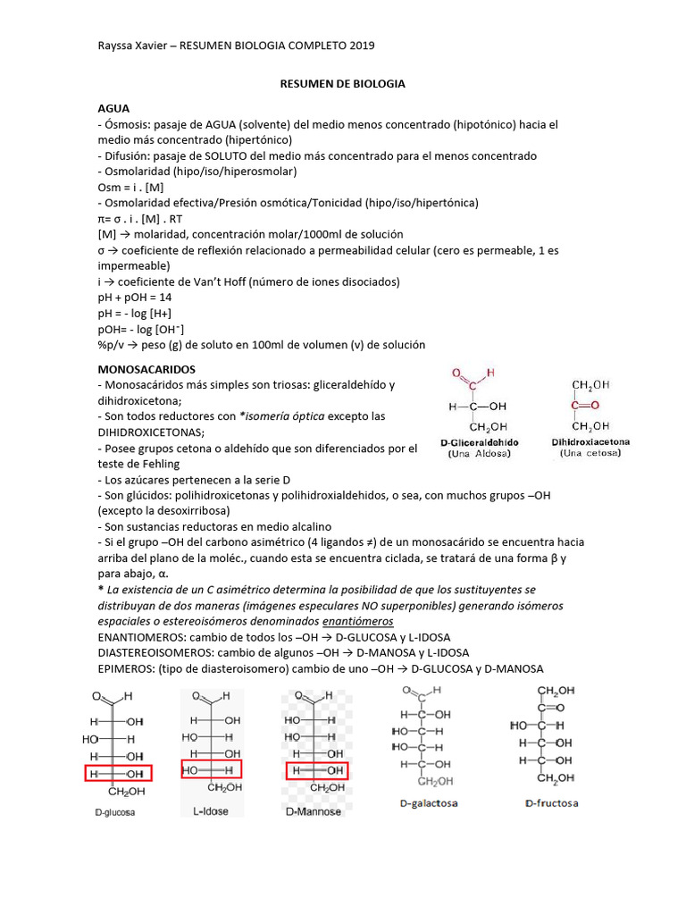 BIOLOGIA Resumen Rayssa | PDF