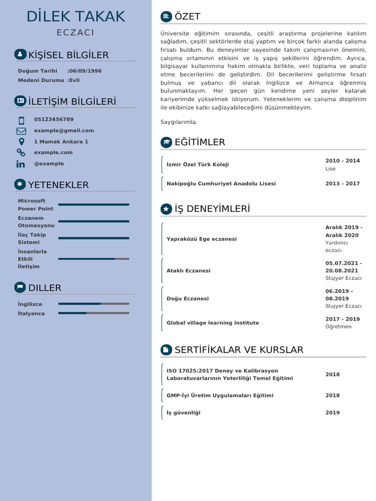 Örnek CV 56 cv12-4 | PDF
