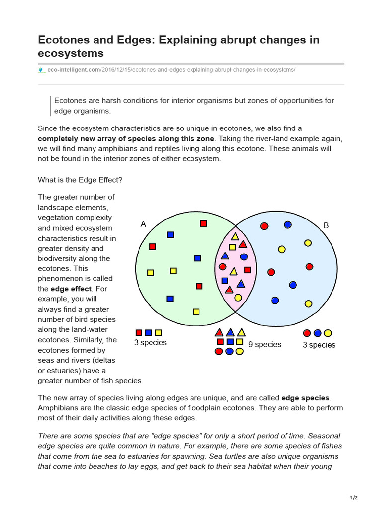 Edge Effect | PDF | Wetland | Biodiversity
