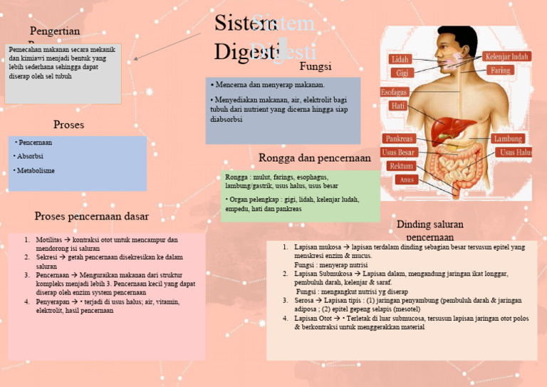 Sistem Digesti | PDF