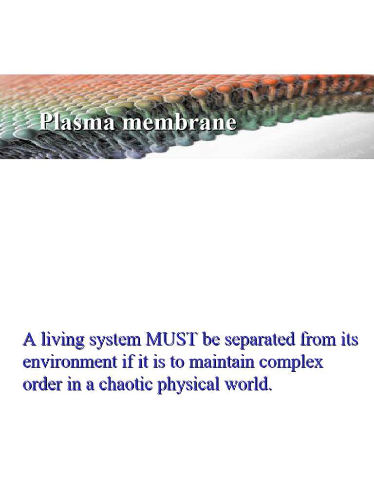 Plasma Membrane. | PDF