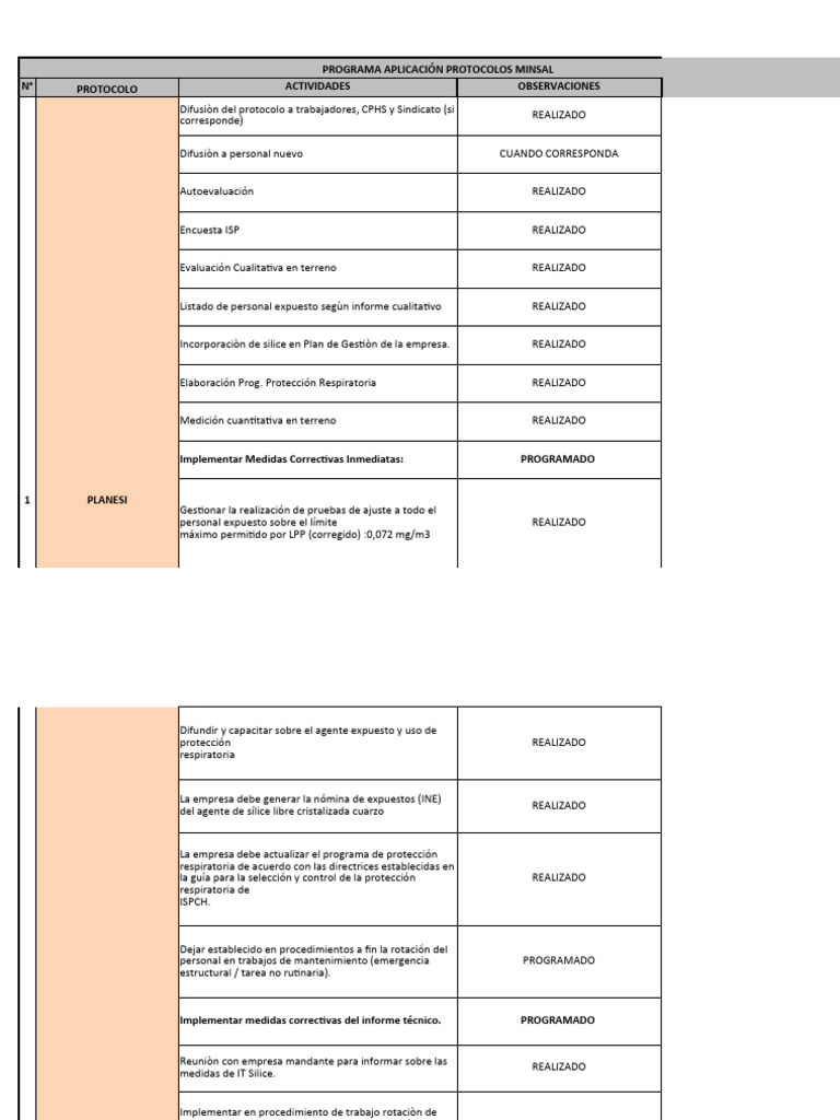 Programa de Trabajo Protocolos Minsal M. Asmeco 2023 | PDF