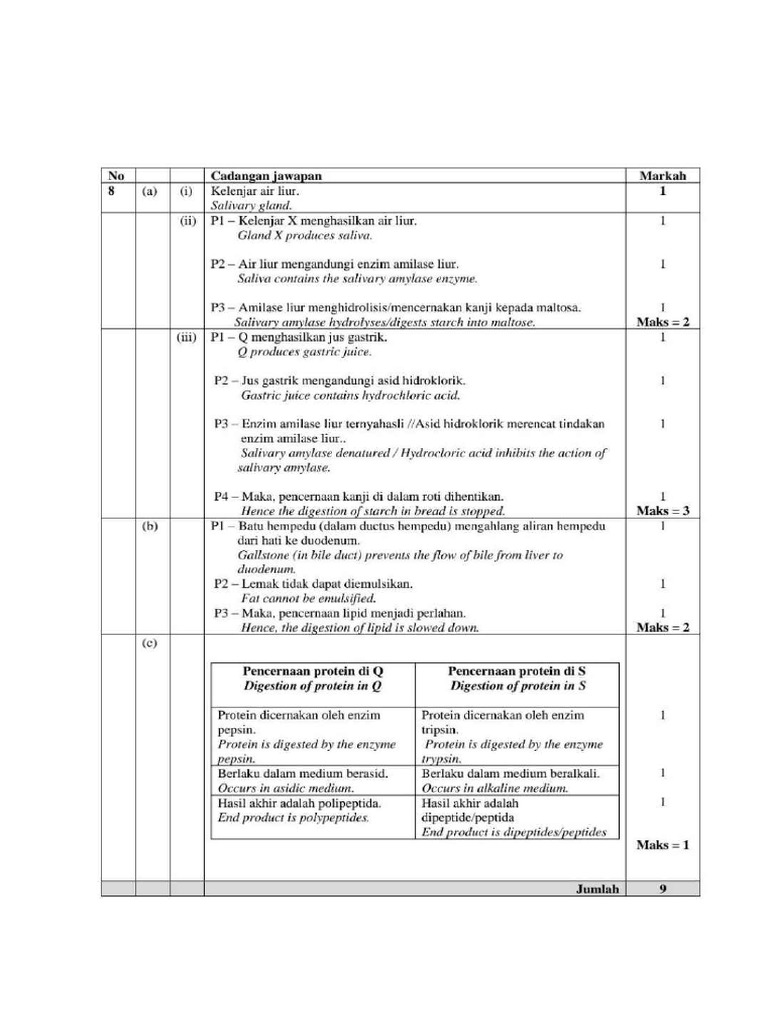 Jawapan Bio t4 Bab 9 | PDF