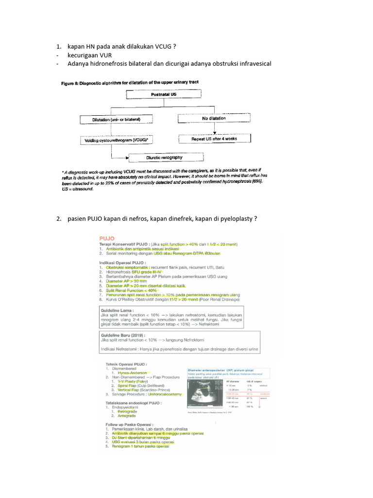 Catatan Uro Pedi | PDF | Kesehatan Holistik | Sains & Matematika