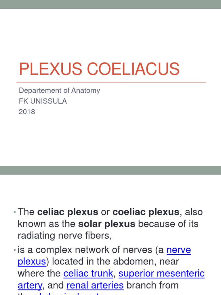 PLEXUS COELIACUS | PDF