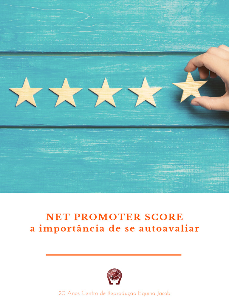 NPS e Book | PDF | Business