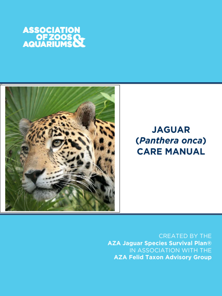 Jaguar Care Manual 2016 | PDF