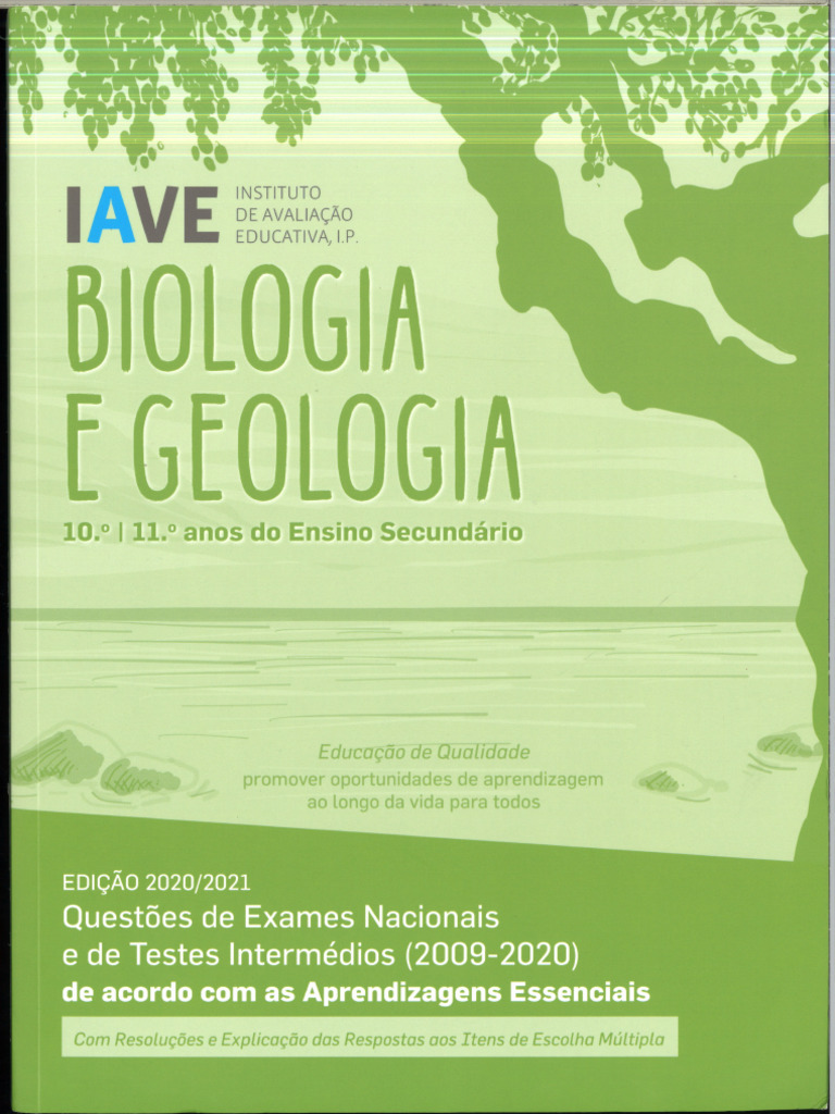 Livro Iave 2020 | PDF