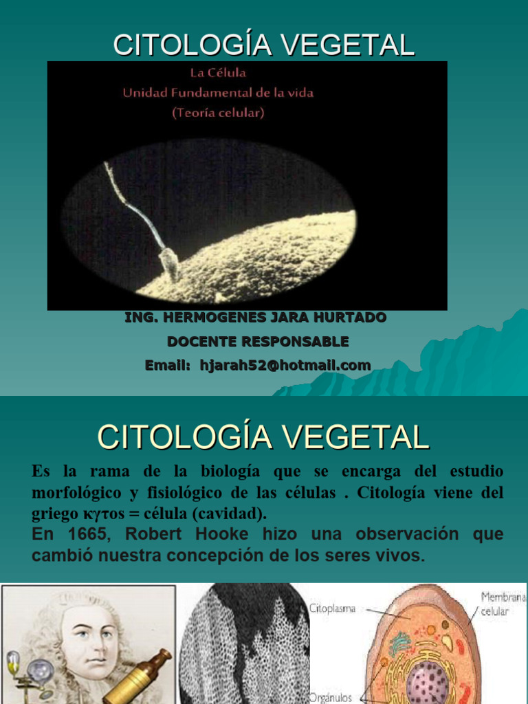 Citología Vegetal: Estructura y Función | PDF
