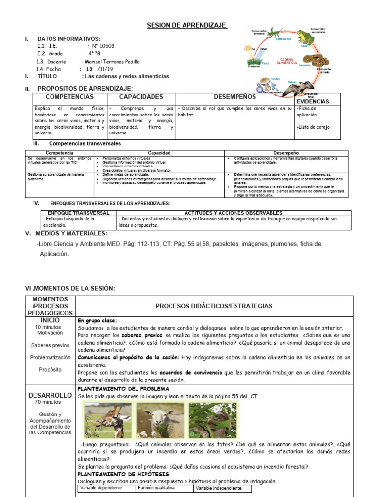 Sesion Las Cadenas y Redes Alimentarias | PDF