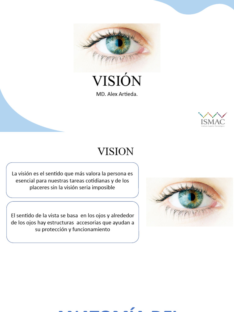 Exposicion Visión | PDF | Ojo humano | Percepción visual