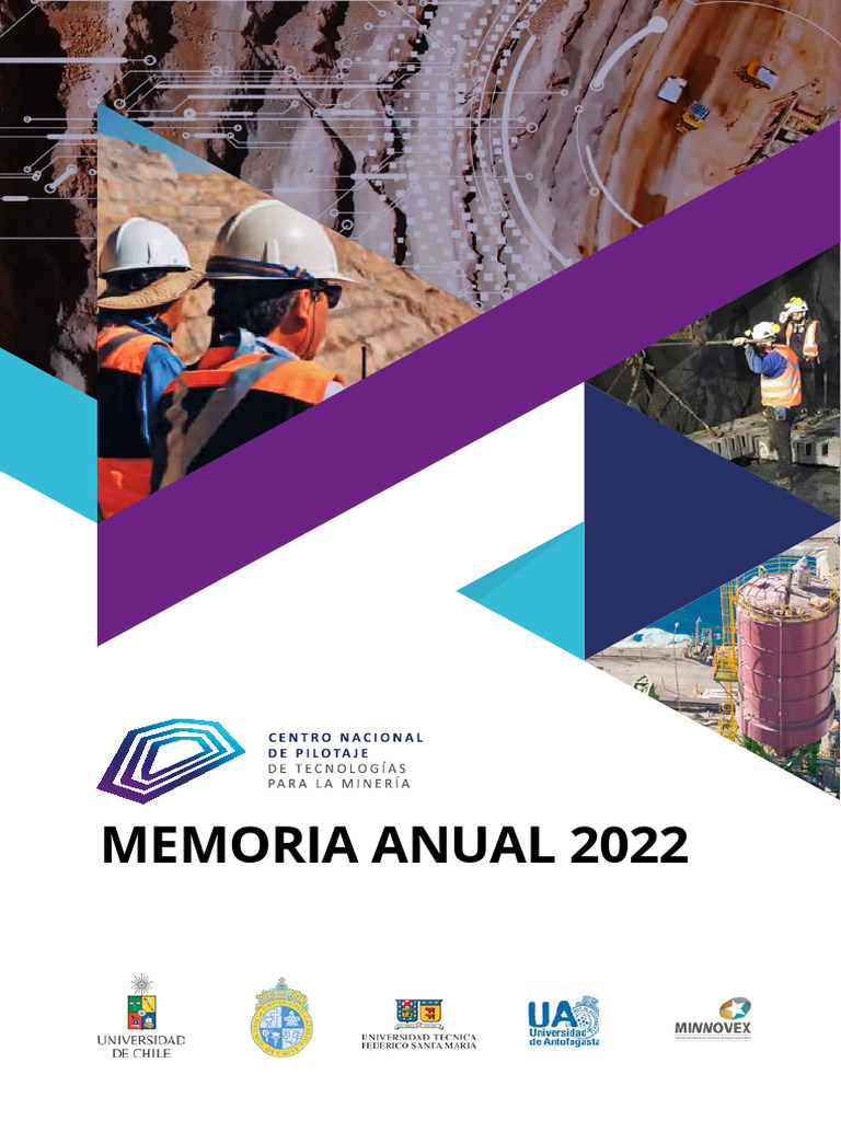 Memoria CNP 2022 Web-1 | PDF