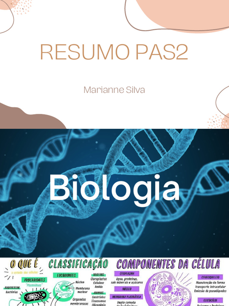 Resumo Pas2 | PDF