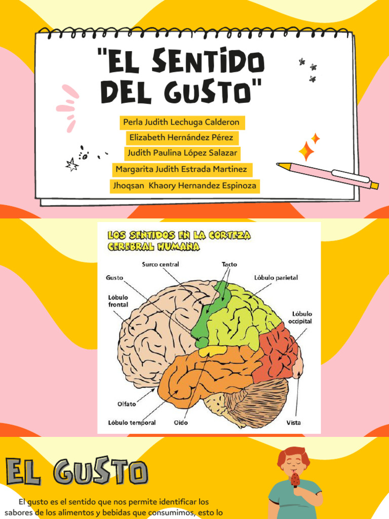 El Sentido Del Gusto | PDF