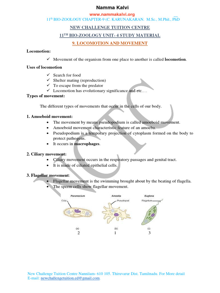 Namma Kalvi 11th Bio-Zoology Chapter 9 Study Material em | PDF