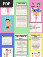 Semaforo Corporal Def | PDF