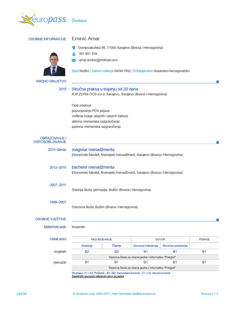 CV Eminic Amar | PDF