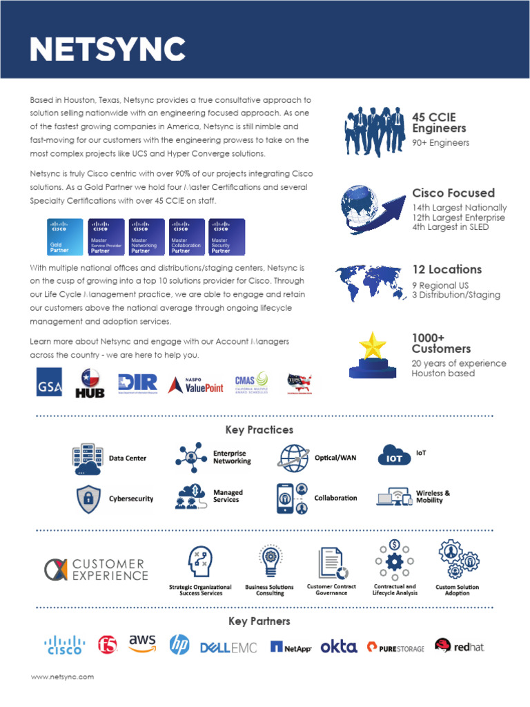 Netsync 1 Page Overview | PDF | Computing | Information Technology