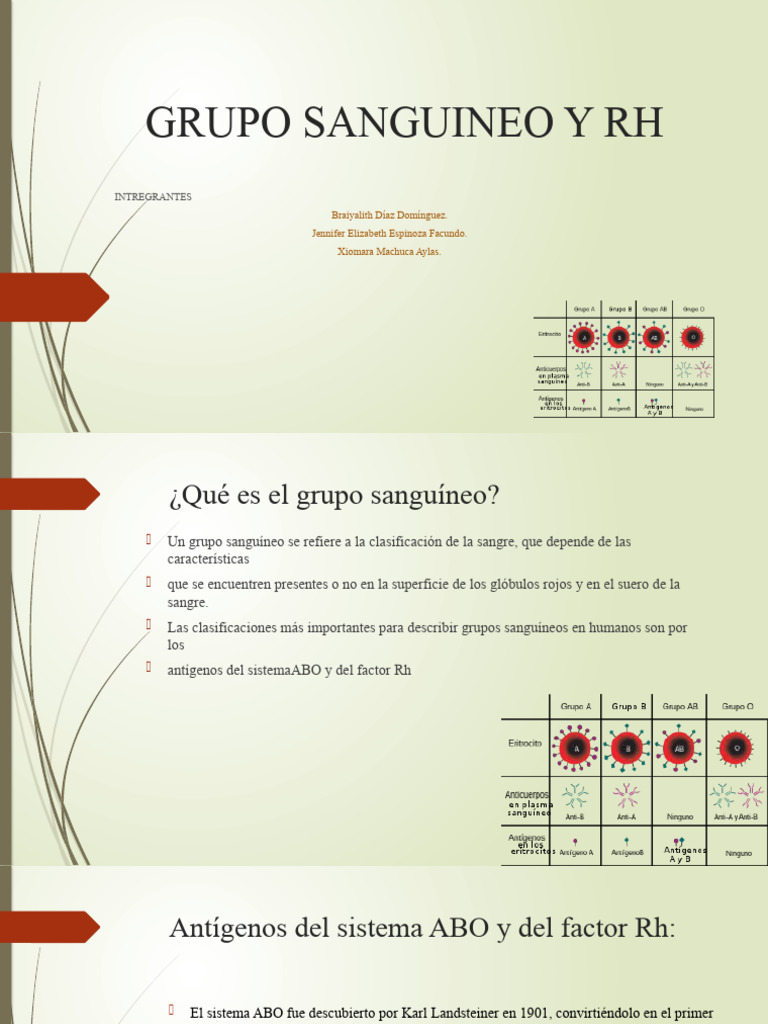 Grupo Sanguineo Y Rh Grupo 4 De Anatomia Pdf