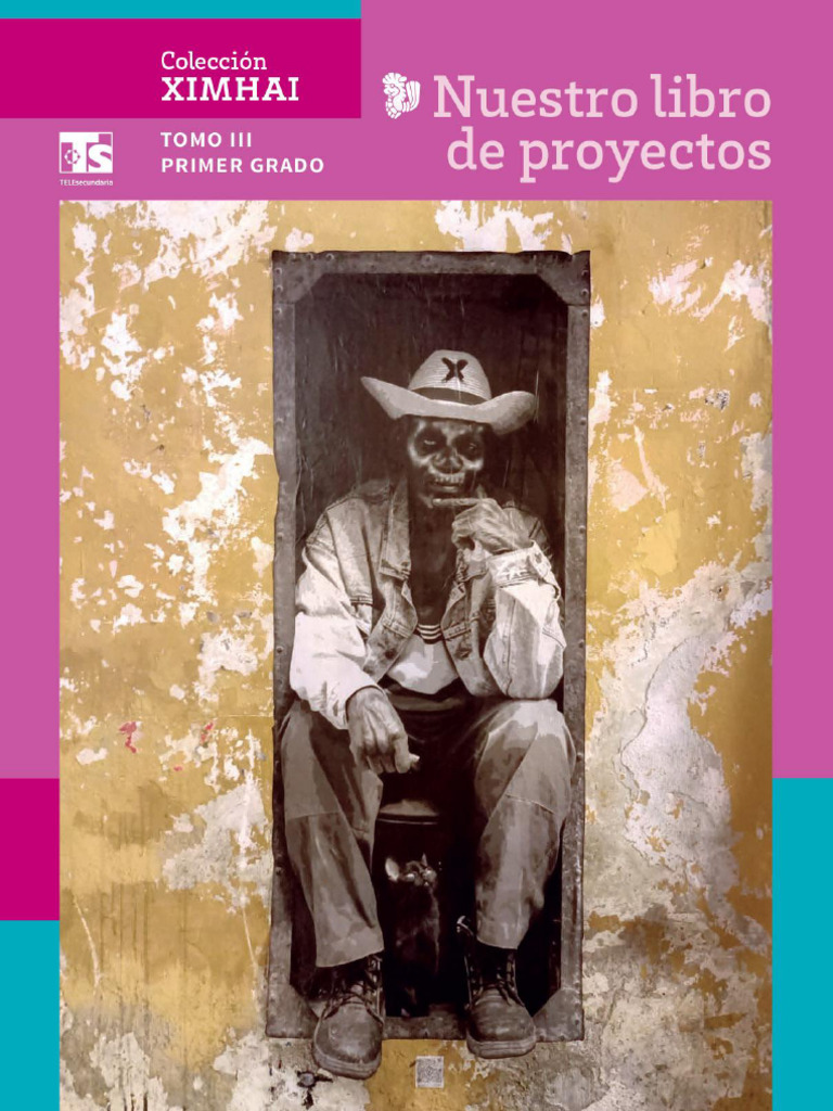 Nuestro Libro de Proyectos Volumen III | PDF