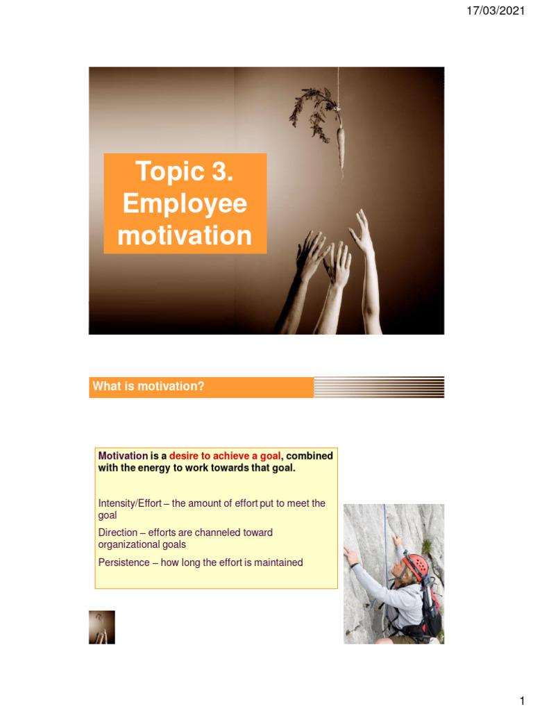 Topic 3 - Employee Motivation | PDF