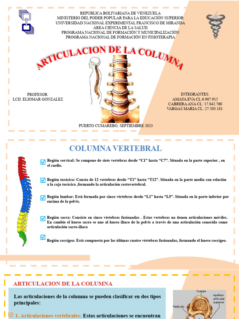 Articulacion de La Columna | PDF