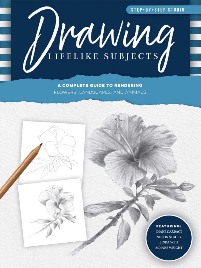 Step-by-Step Studio Drawing | PDF