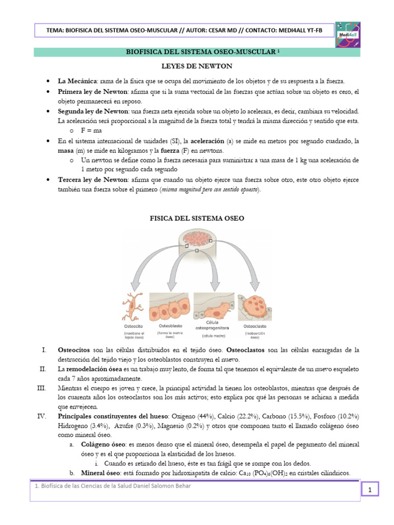 Biofísica del Sistema Oseo-Muscular | PDF