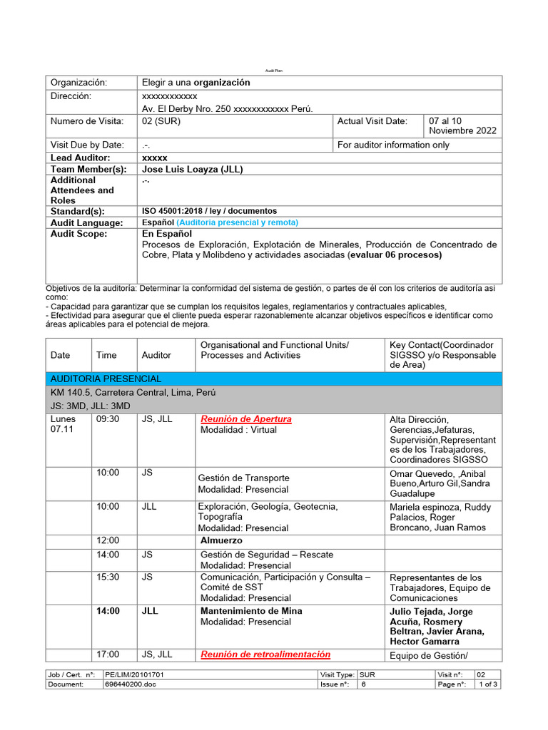 GS0307 Audit Plan | PDF