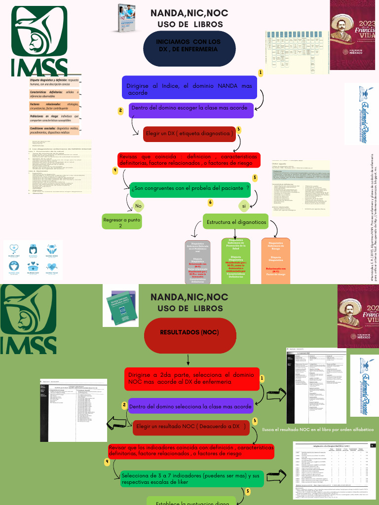 Nanda, Nic, Noc | PDF | Enfermería | Programas sociales