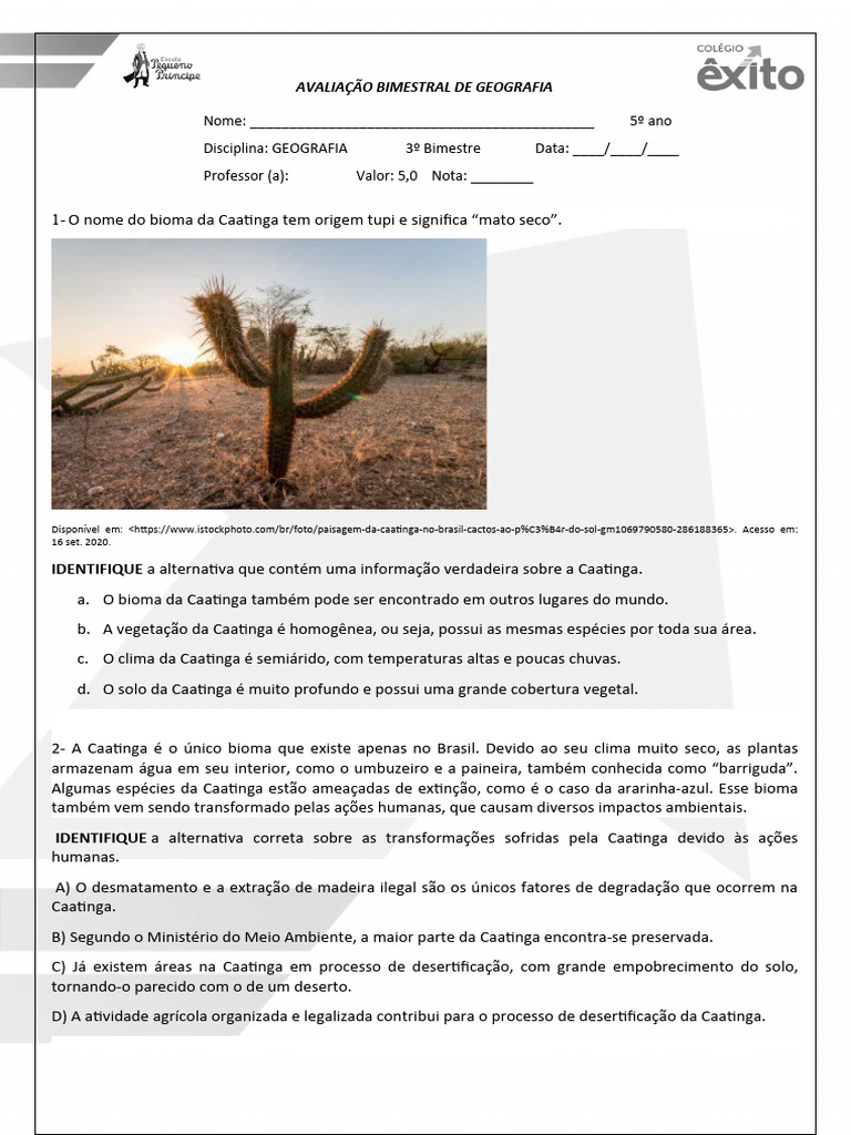 Prova de Geografia 5 Ano 3bim 2023 | PDF | Floresta Amazônica | Desmatamento