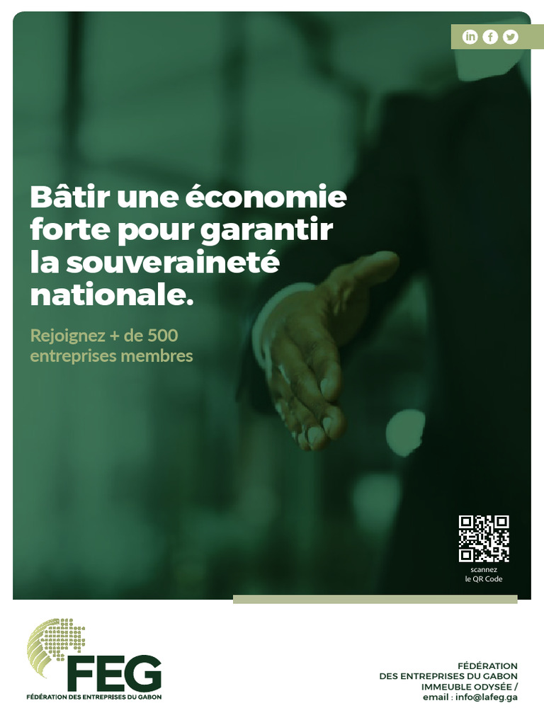 Fiche de Demande D'insertion FEG'INFO | PDF