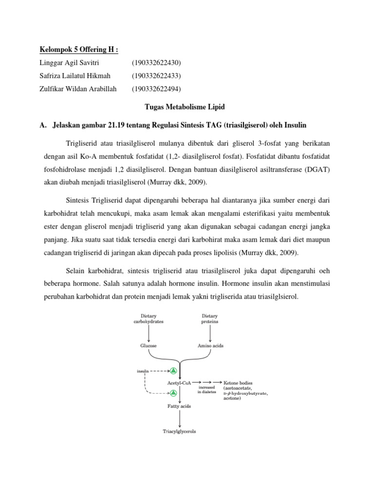 Kelompok 5 - Tugas Metabolisme Lipid | PDF