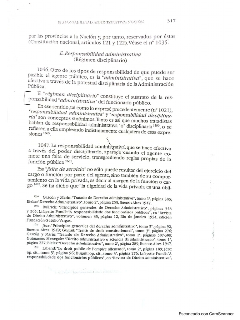 Responsabilidad Administrativa de Roberto Dromi | PDF