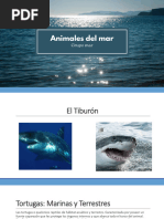 Conejo de mar: características y toxicidad | PDF | Huevo | Zoología
