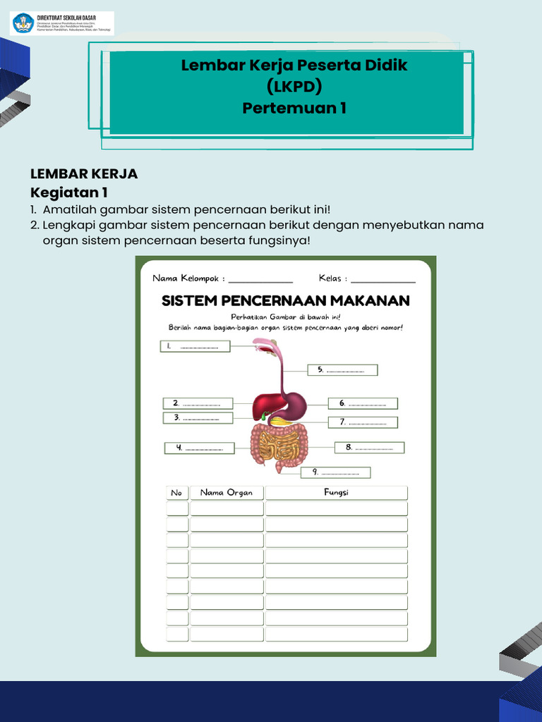 Asesment Ipas Fase C | PDF | Kesehatan Holistik
