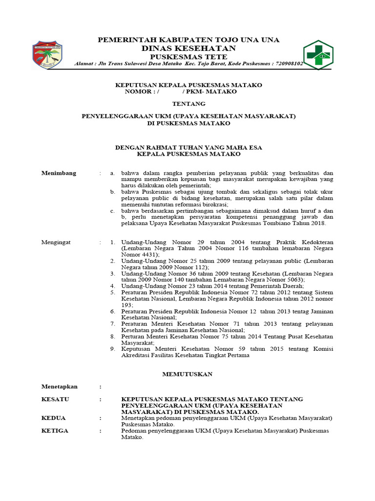 4.1.1.6 SK PENYELENGGARAAN UKM Ada SM Ma2 Irma | PDF