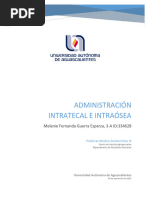 Via Intratecal | PDF | Farmacia | Medicina CLINICA