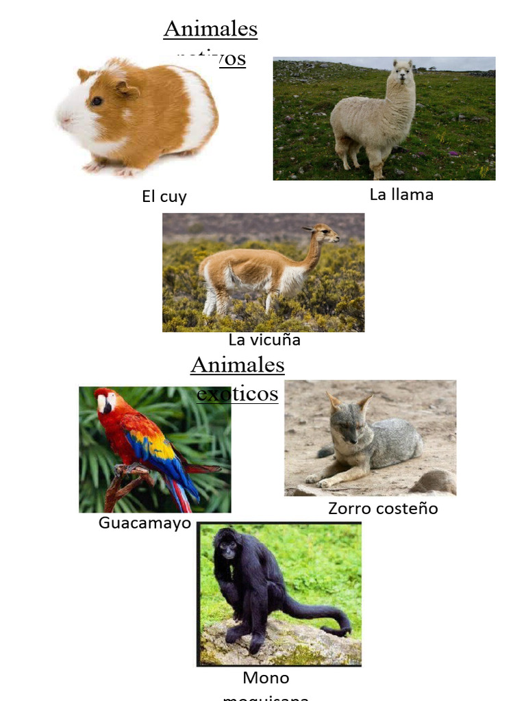 animales nativos y exoticos | PDF