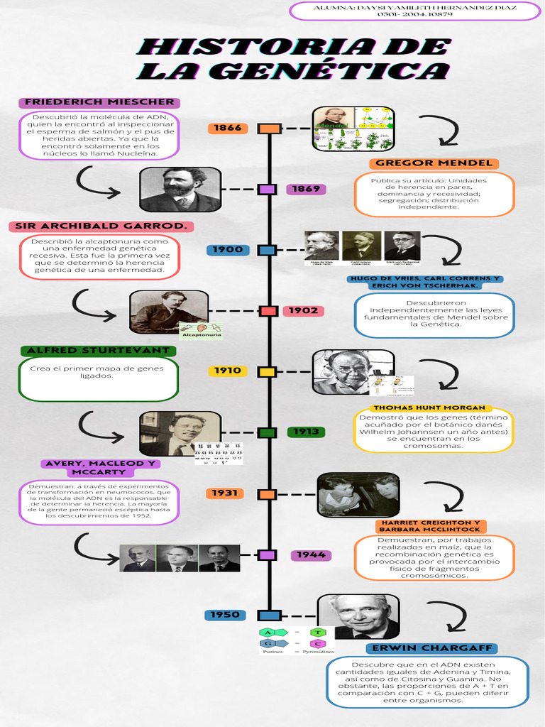 Línea Del Tiempo de La Historia de La Genetica | PDF