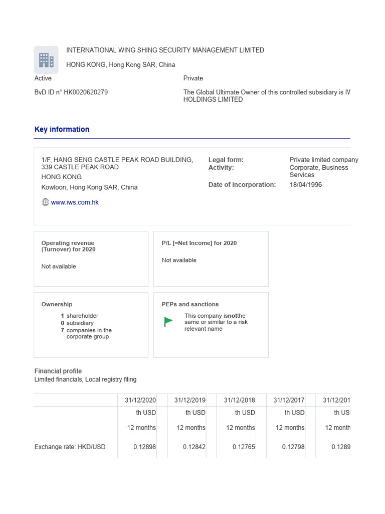 International Wing Shing Security Management Limited | PDF | Revenue | Stock Valuation