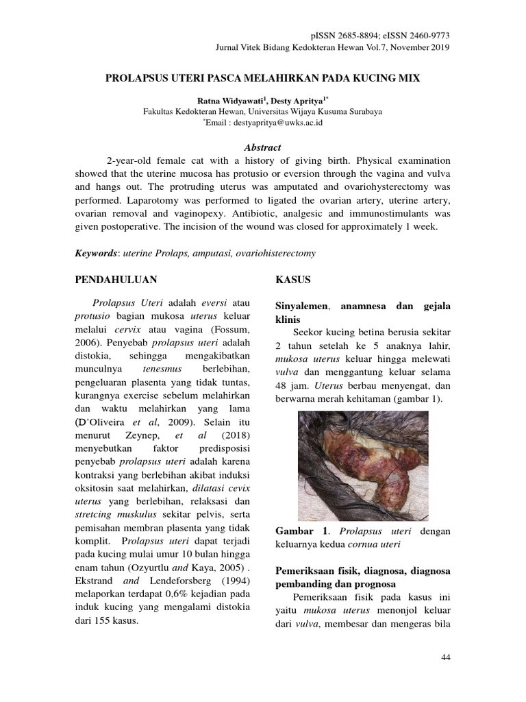 Prolapsus Uteri | PDF