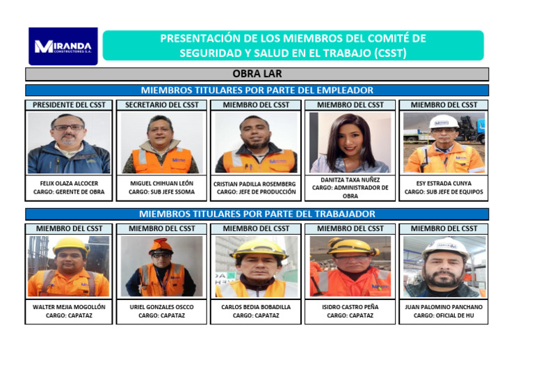 Miembros Del Comité de SST | PDF