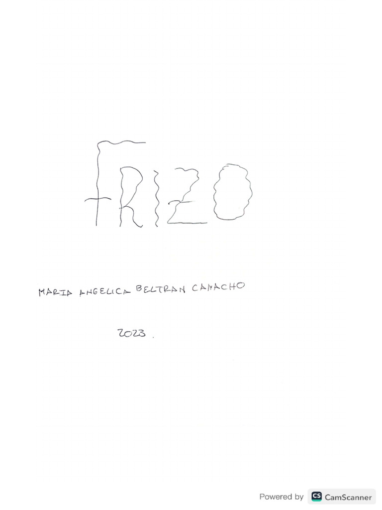 FRIZO | PDF
